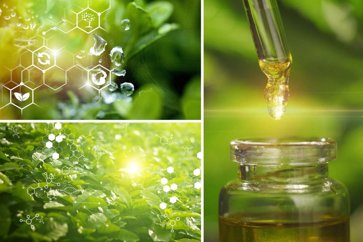 Cómo ser perfumista - Estudiantes10.com